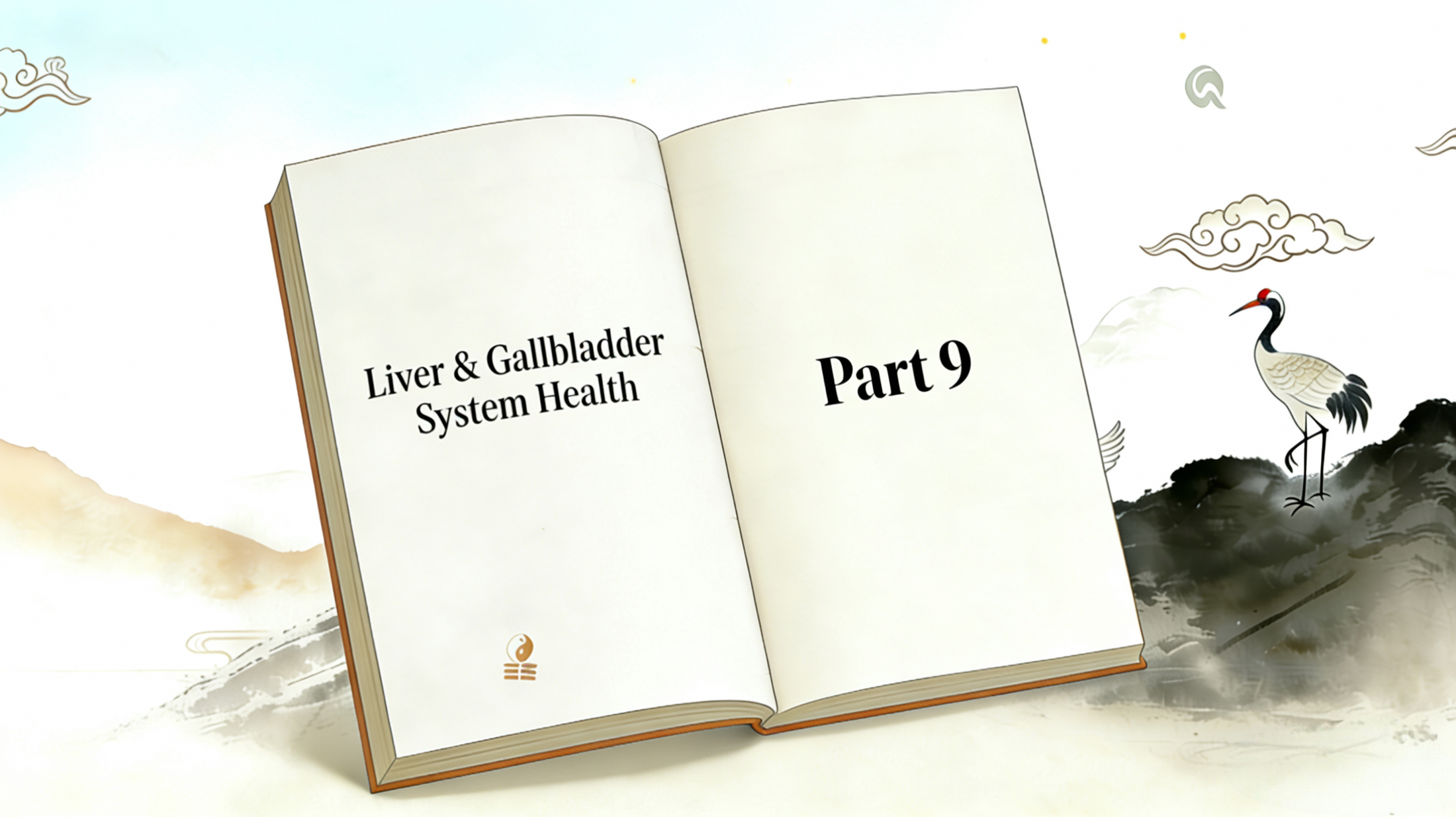 Liver & Gallbladder Health Guide | TCM for Liver Function – TaichiZidong