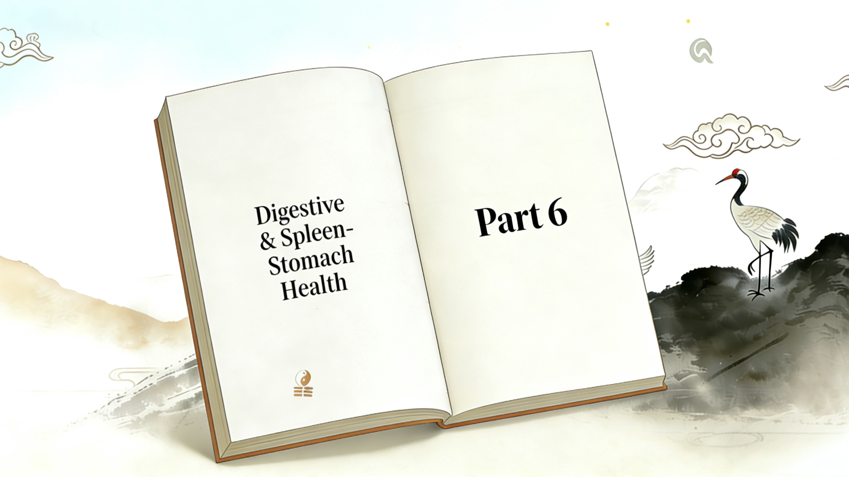 Digestive Health Guide | TCM for Spleen-Stomach & Gut Health – TaichiZidong