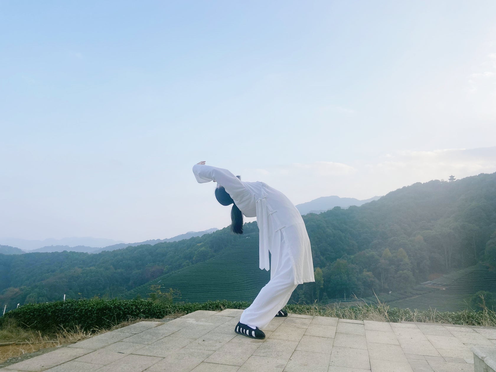 56-Minute Advanced Taichi Full Body Practice | Wudang Traditional ...